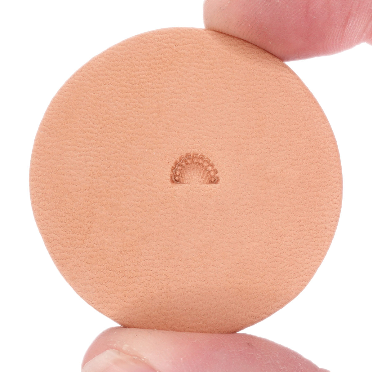 Stamping Tool - D434 Border – Springfield Leather Co