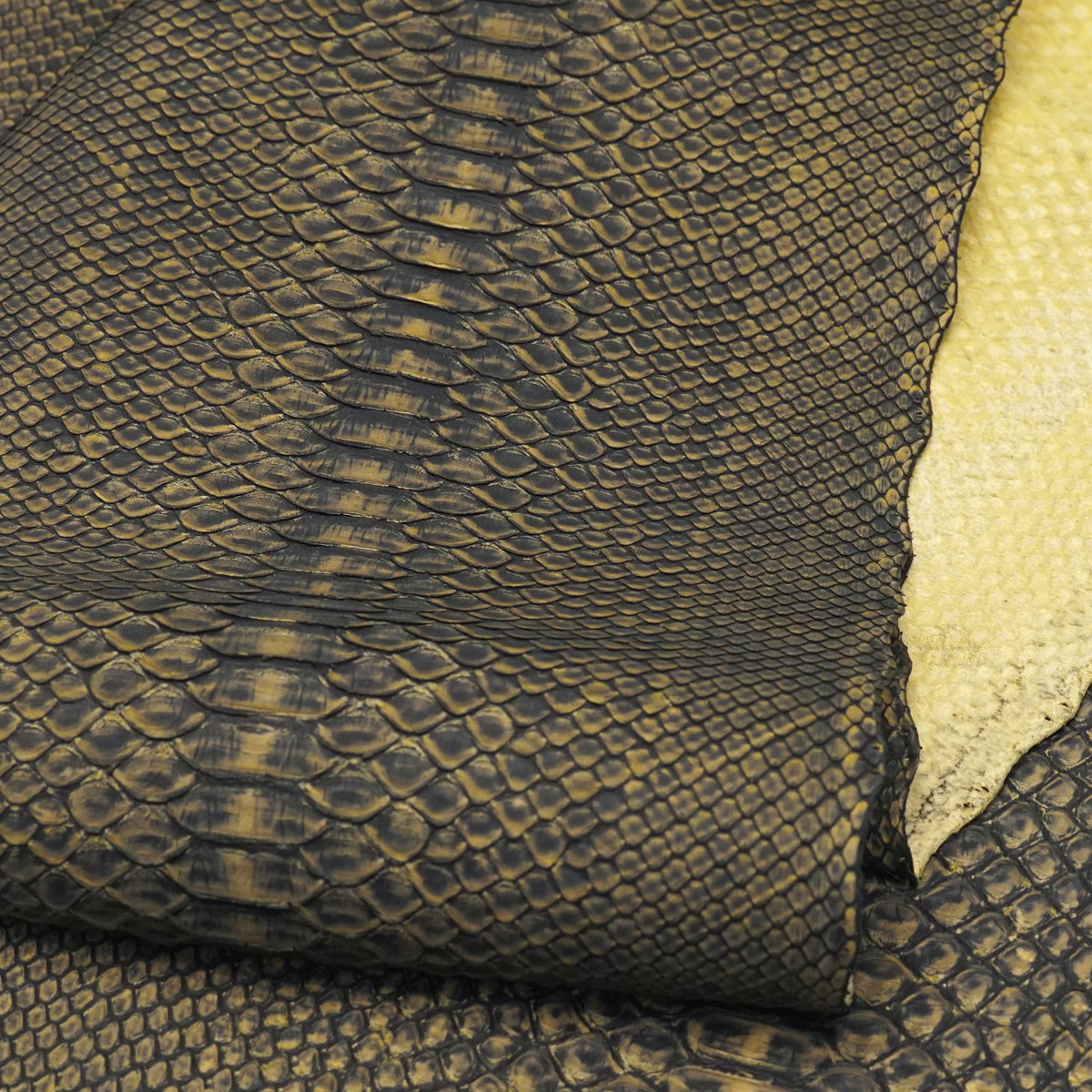 Exotic - Leather – Springfield Leather Co