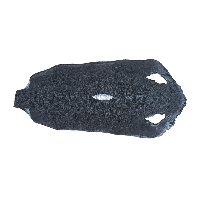 Exotic - Leather – Springfield Leather Co