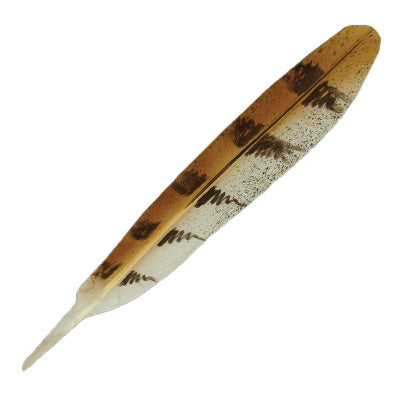 Owl Feather | Springfield Leather Co.