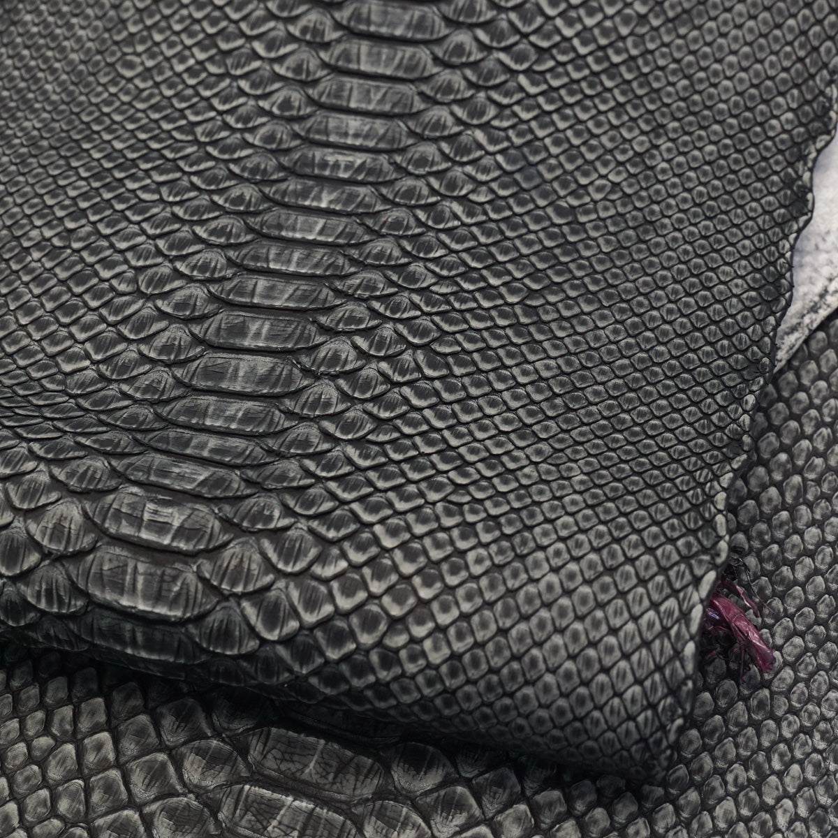 Exotic - Leather – Springfield Leather Co